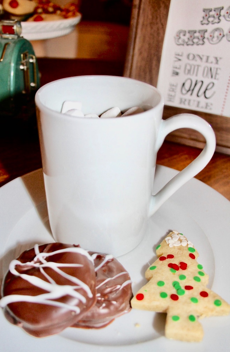 Polar Express Movie Night - Pixie Dust & Posies