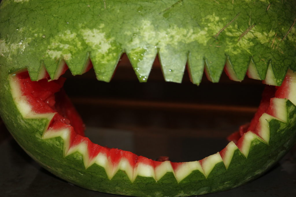 Stitch Watermelon - Pixie Dust & Posies