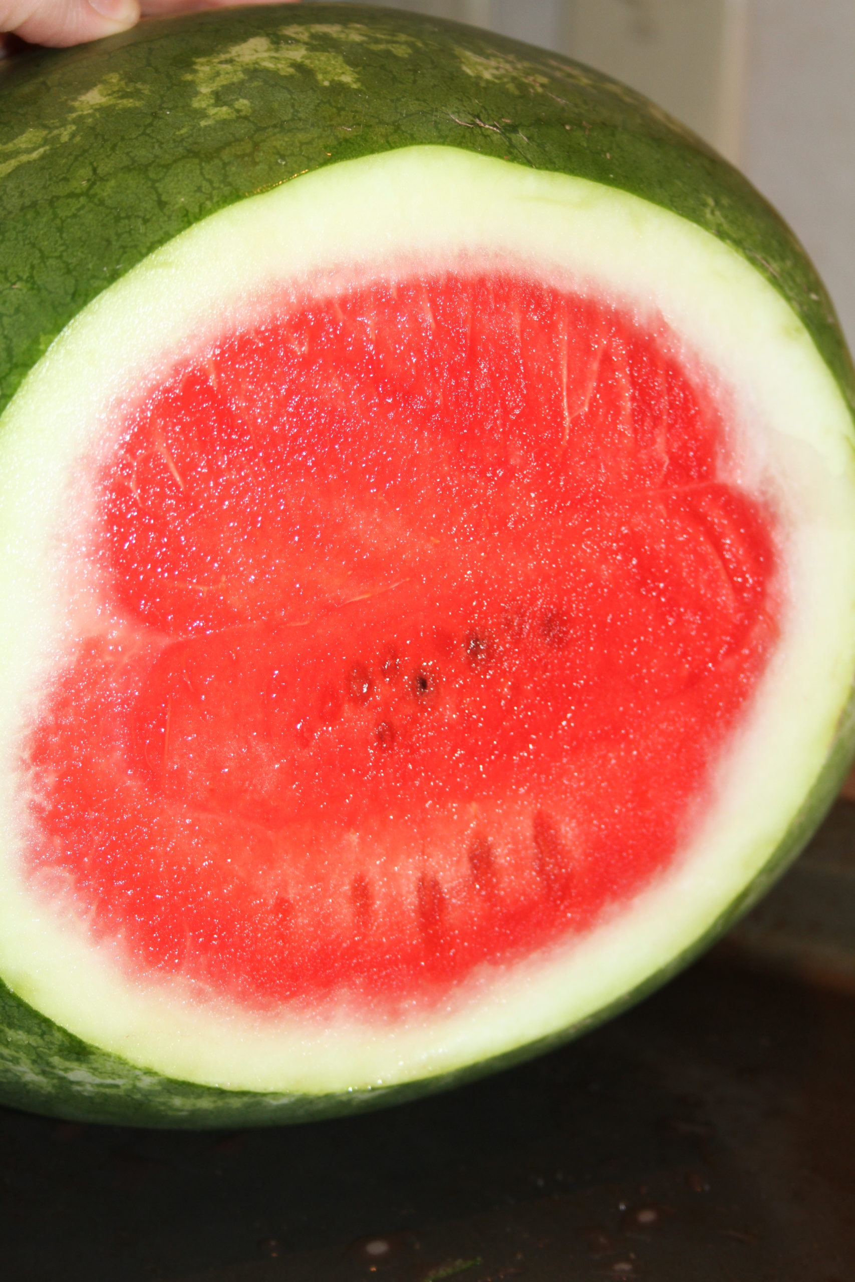 Stitch Watermelon - Pixie Dust & Posies