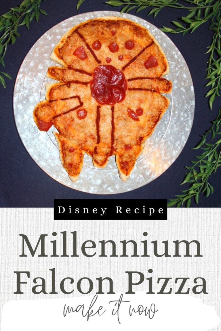 Millennium Falcon Pizza - Pixie Dust & Posies