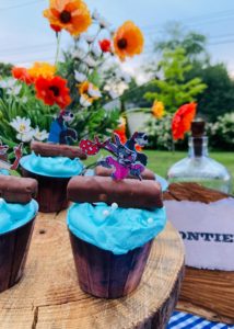 Splash Mountain Cupcakes - Pixie Dust & Posies